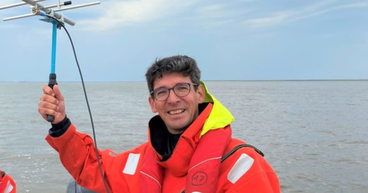 What noise pollution does to marine life - an interview with Joseph Schnitzler DEMASK | Interreg ...